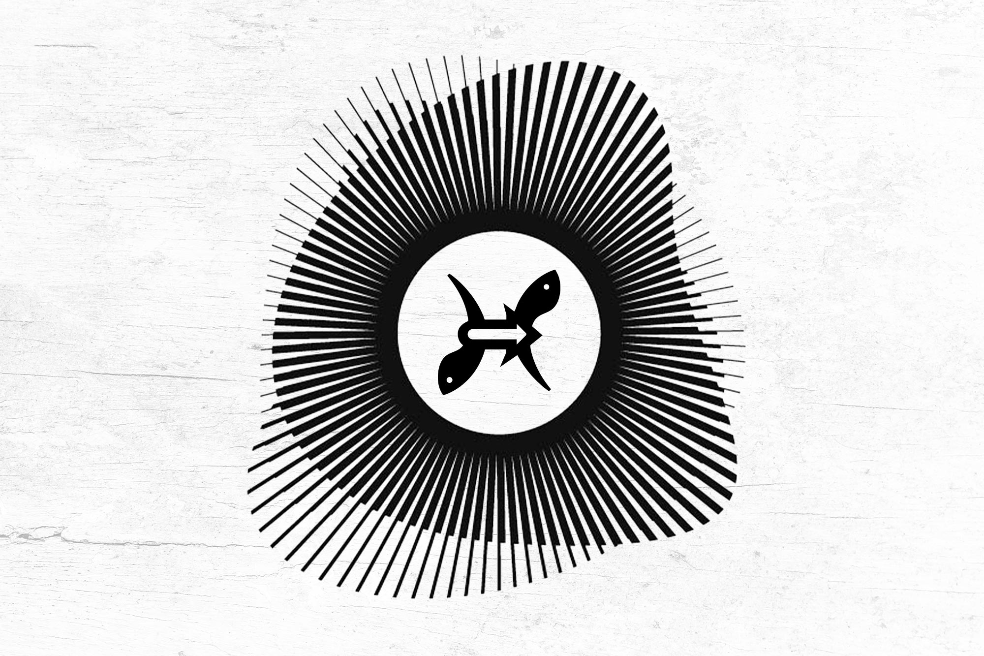 Festival Indiscipline / Pez Records - Comunidad de las Artes